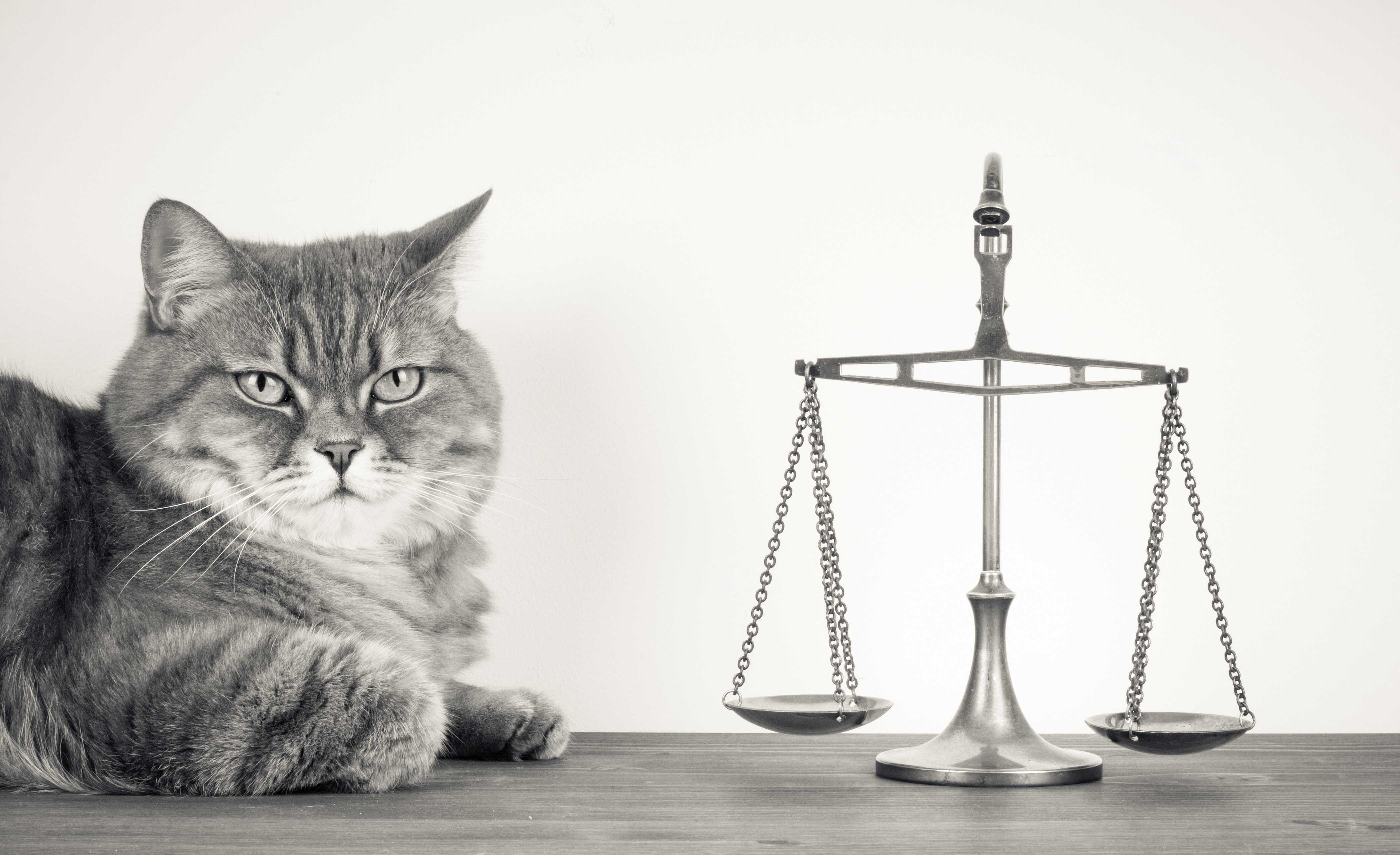 Throwback Thursday Strange State Laws From The Not so distant Past Throwback Thursday Strange State Laws From The Not so distant Past