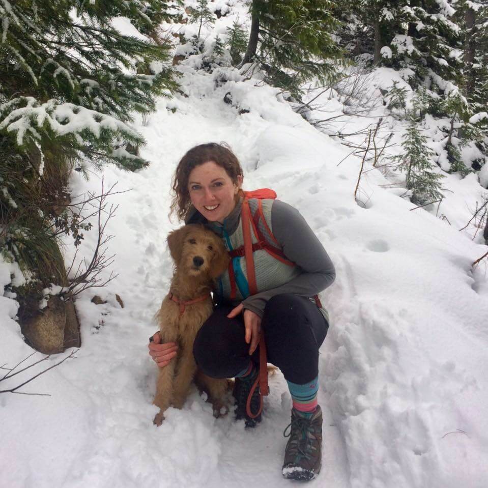 Meet Taro: Avvo Dog of the Month - AvvoStories