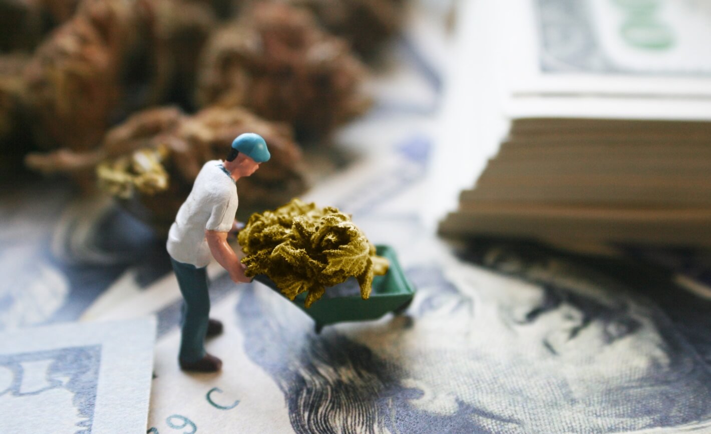 The one big problem with starting a pot business - AvvoStories